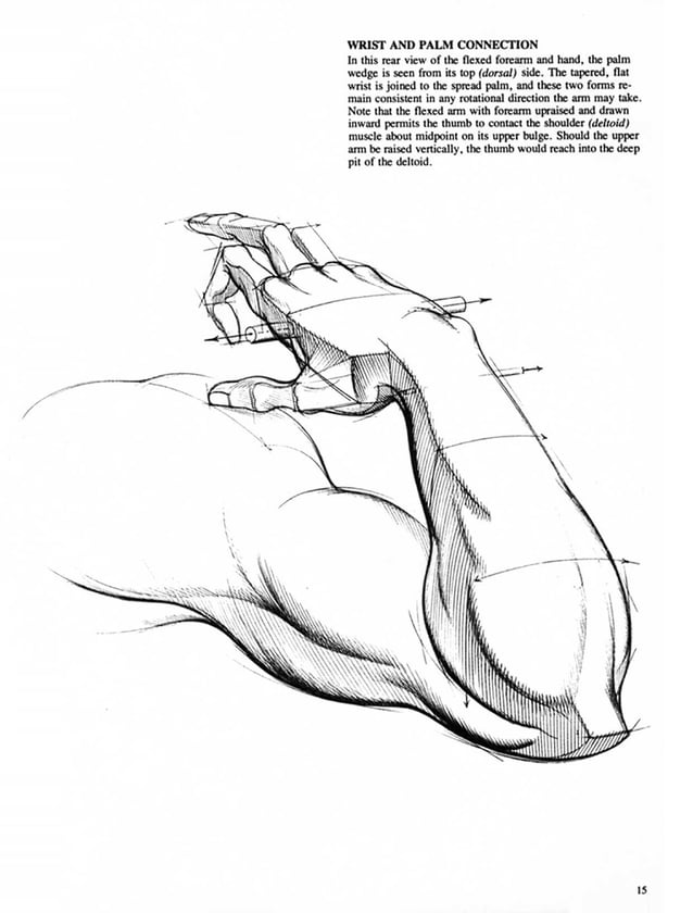 Drawing dynamic hands | PDF