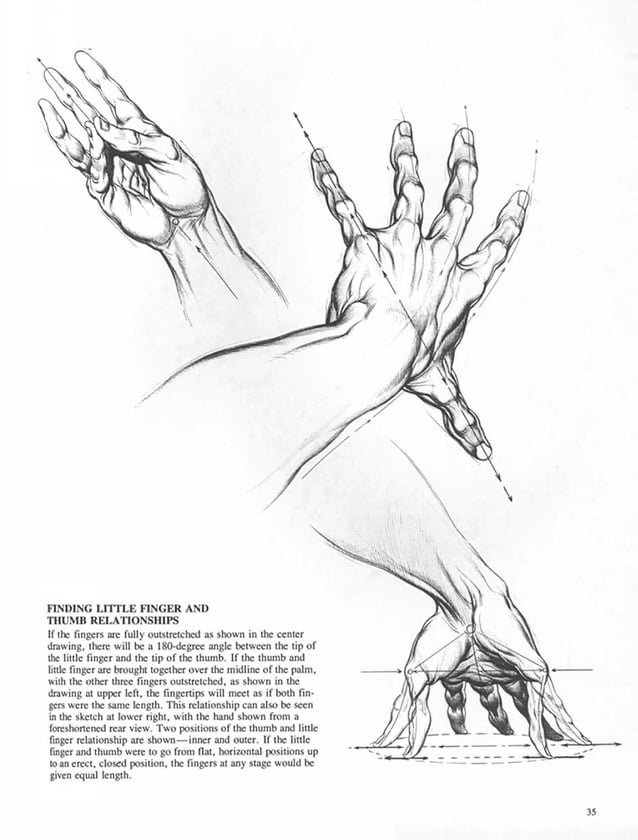 Drawing dynamic hands | PDF