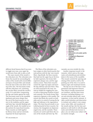 Drawing faces | PDF