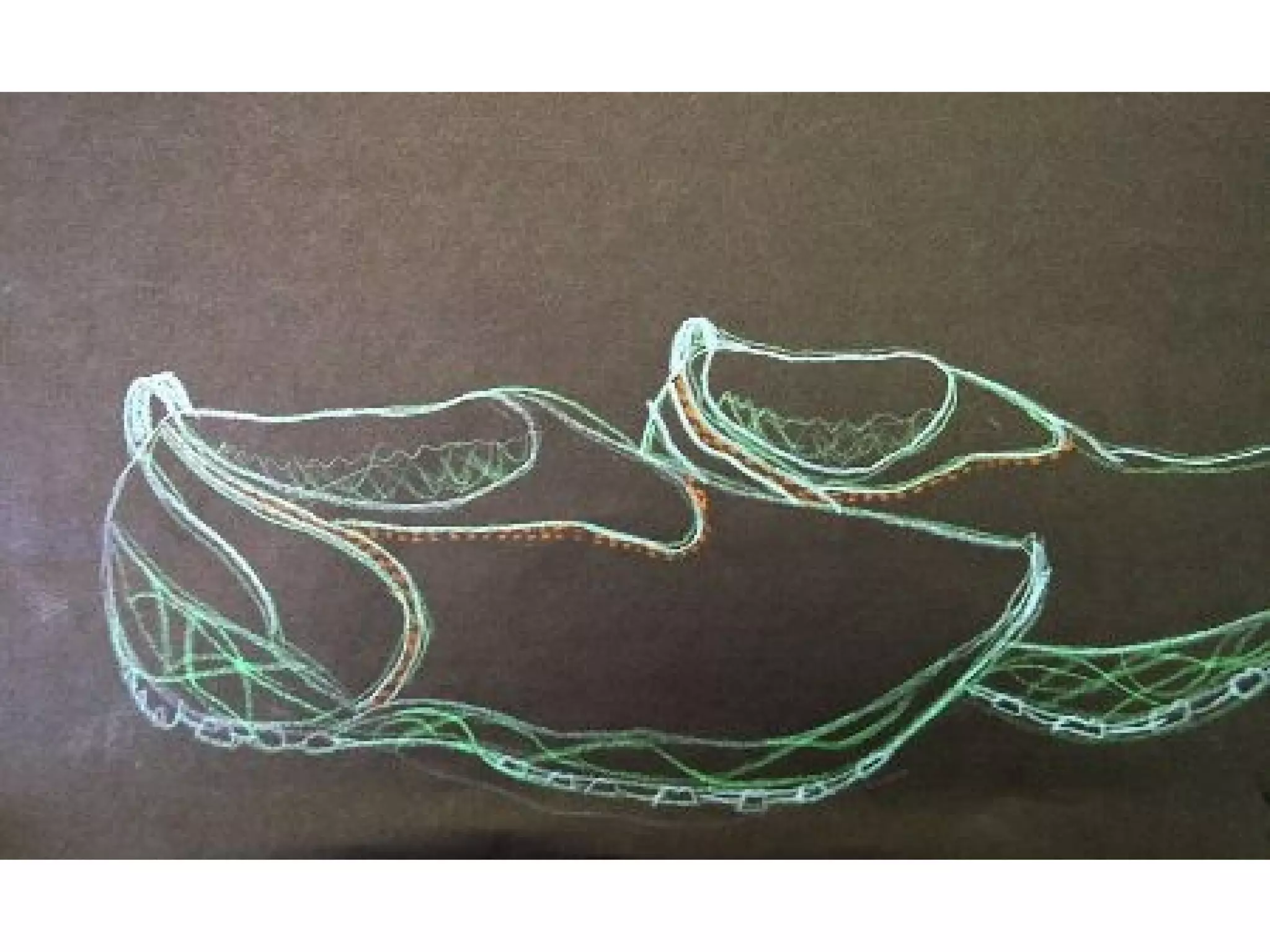 Drawing from observation | PPT