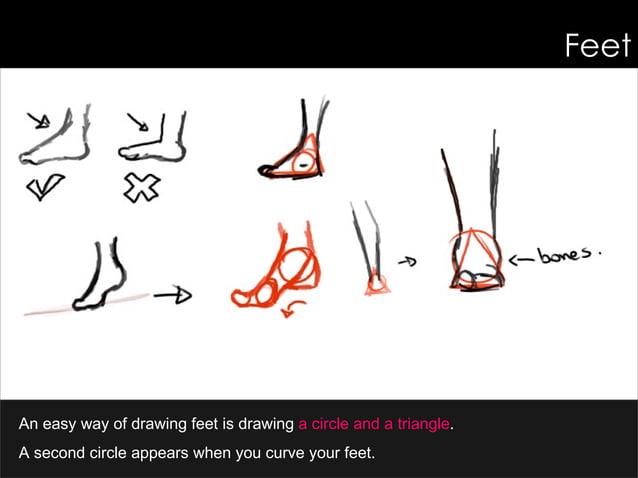 Drawing Human Bodies Ppt