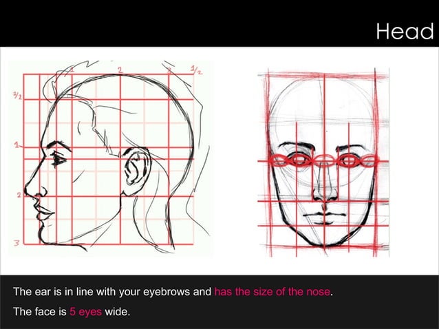 Drawing Human Bodies Ppt