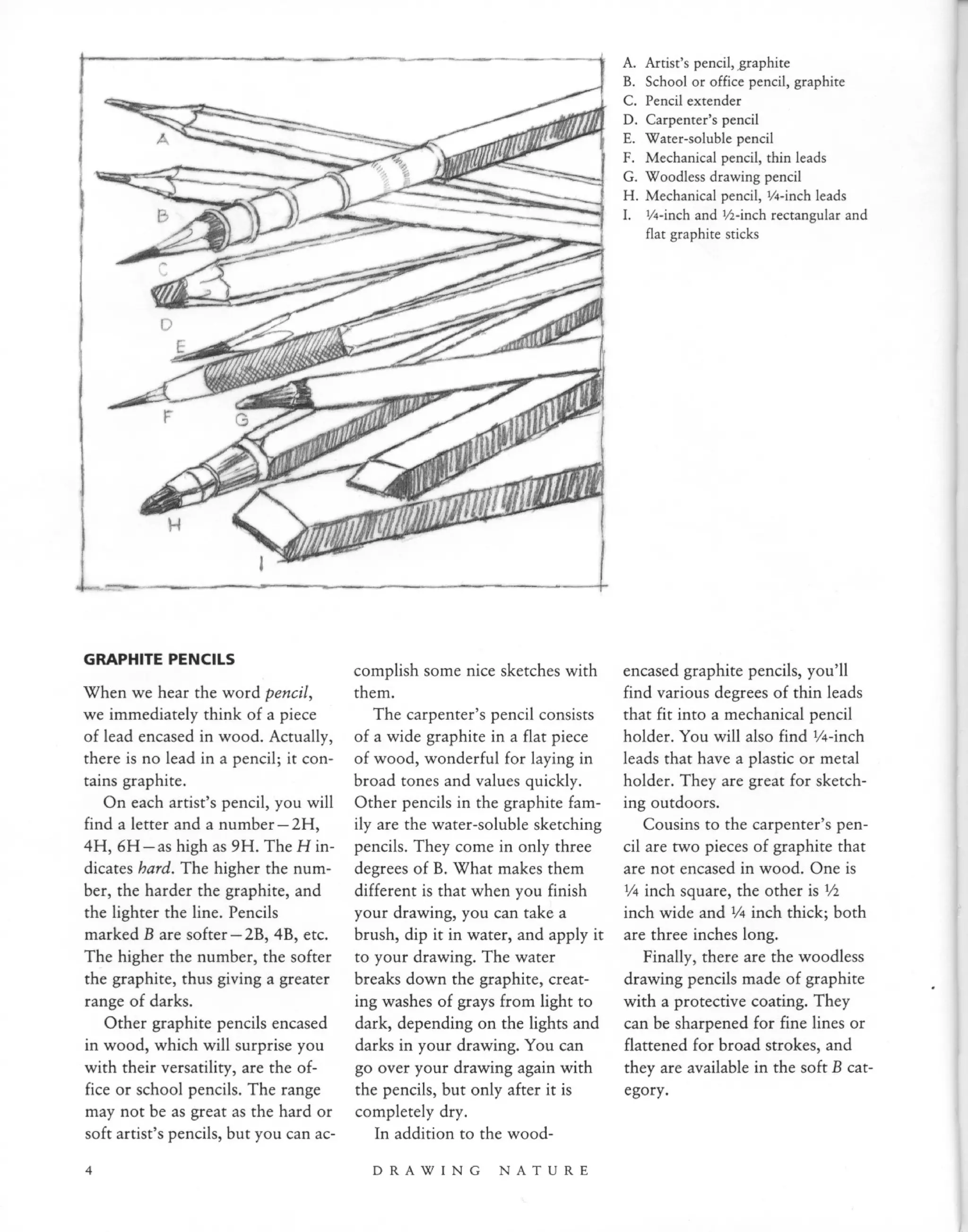 Drawing Nature | PDF