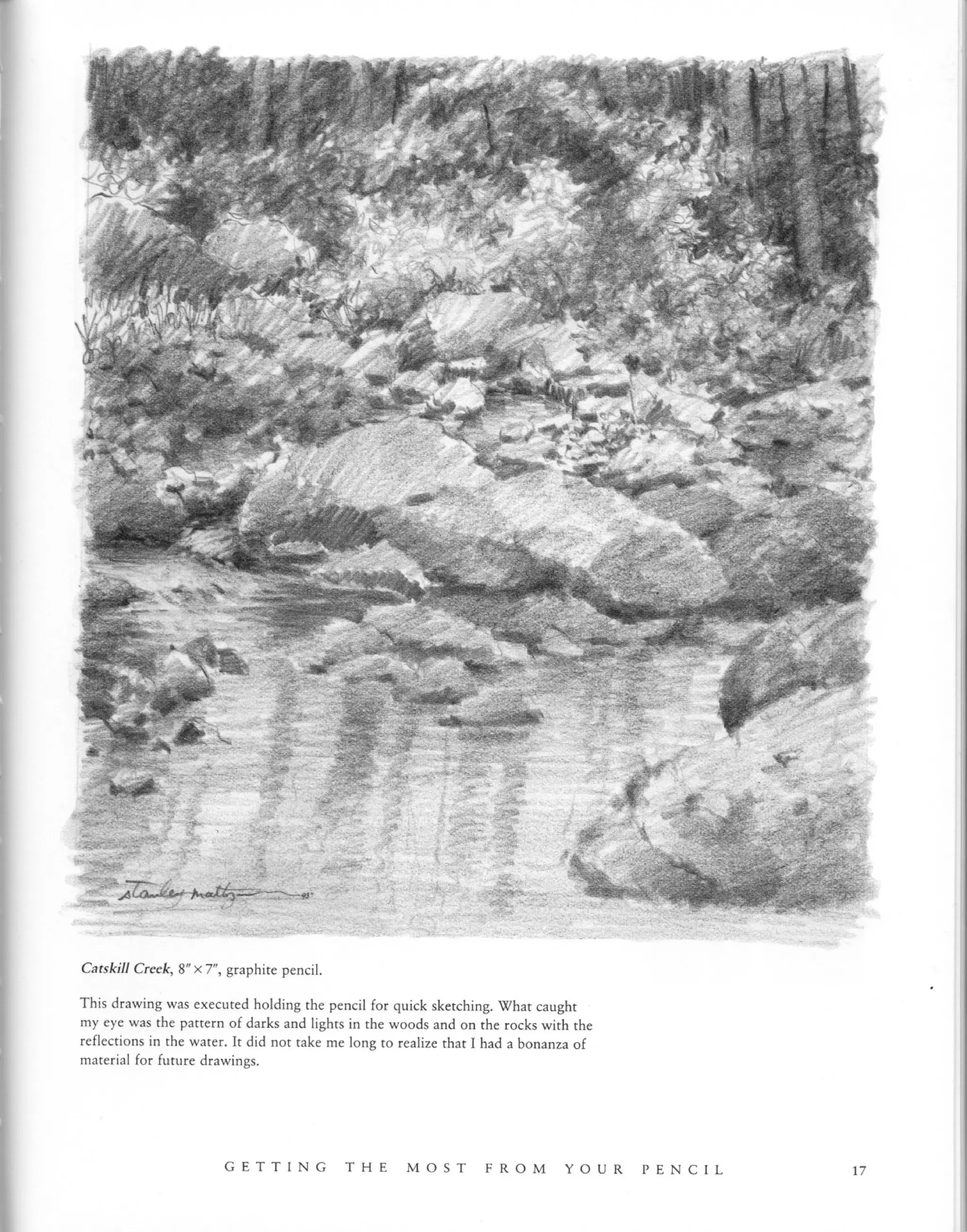 Drawing Nature | PDF