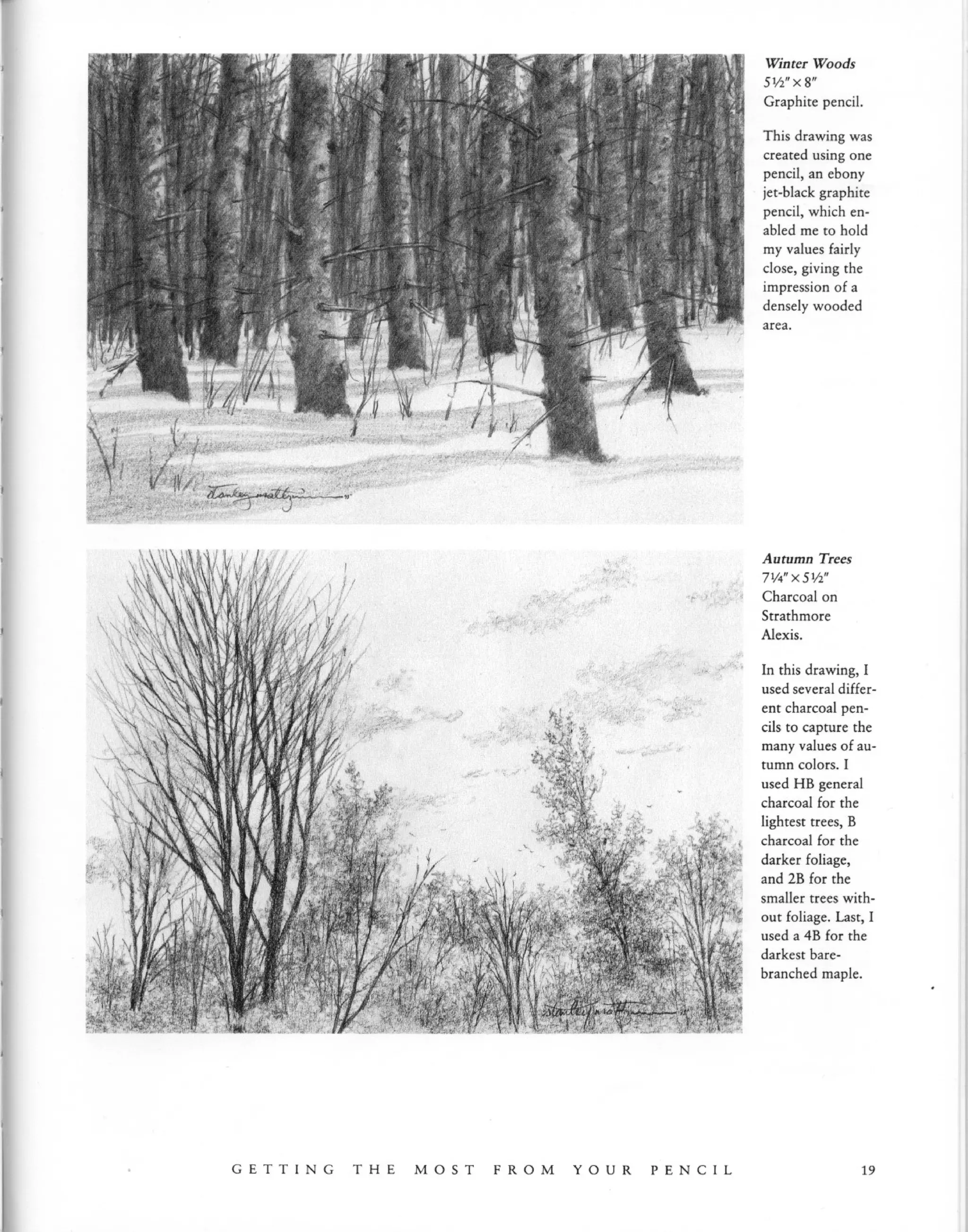 Drawing Nature | PDF
