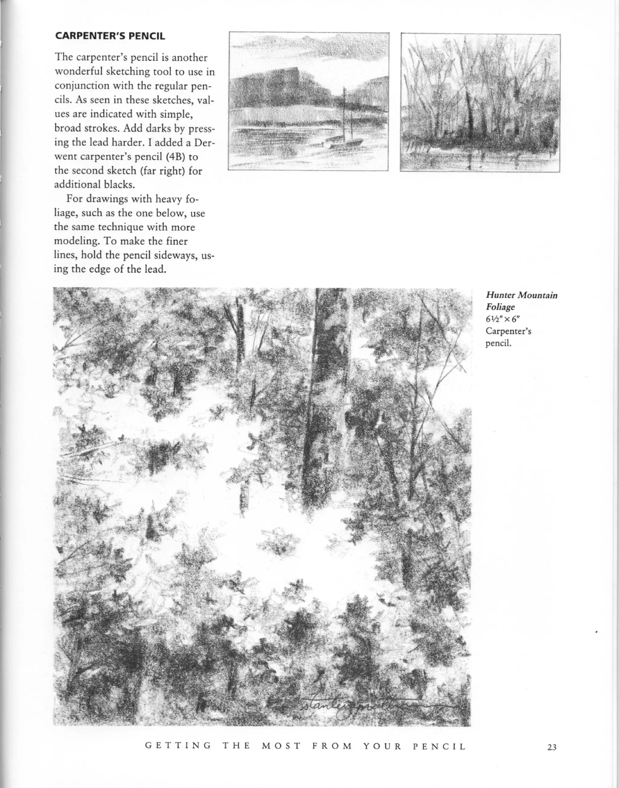 Drawing Nature | PDF