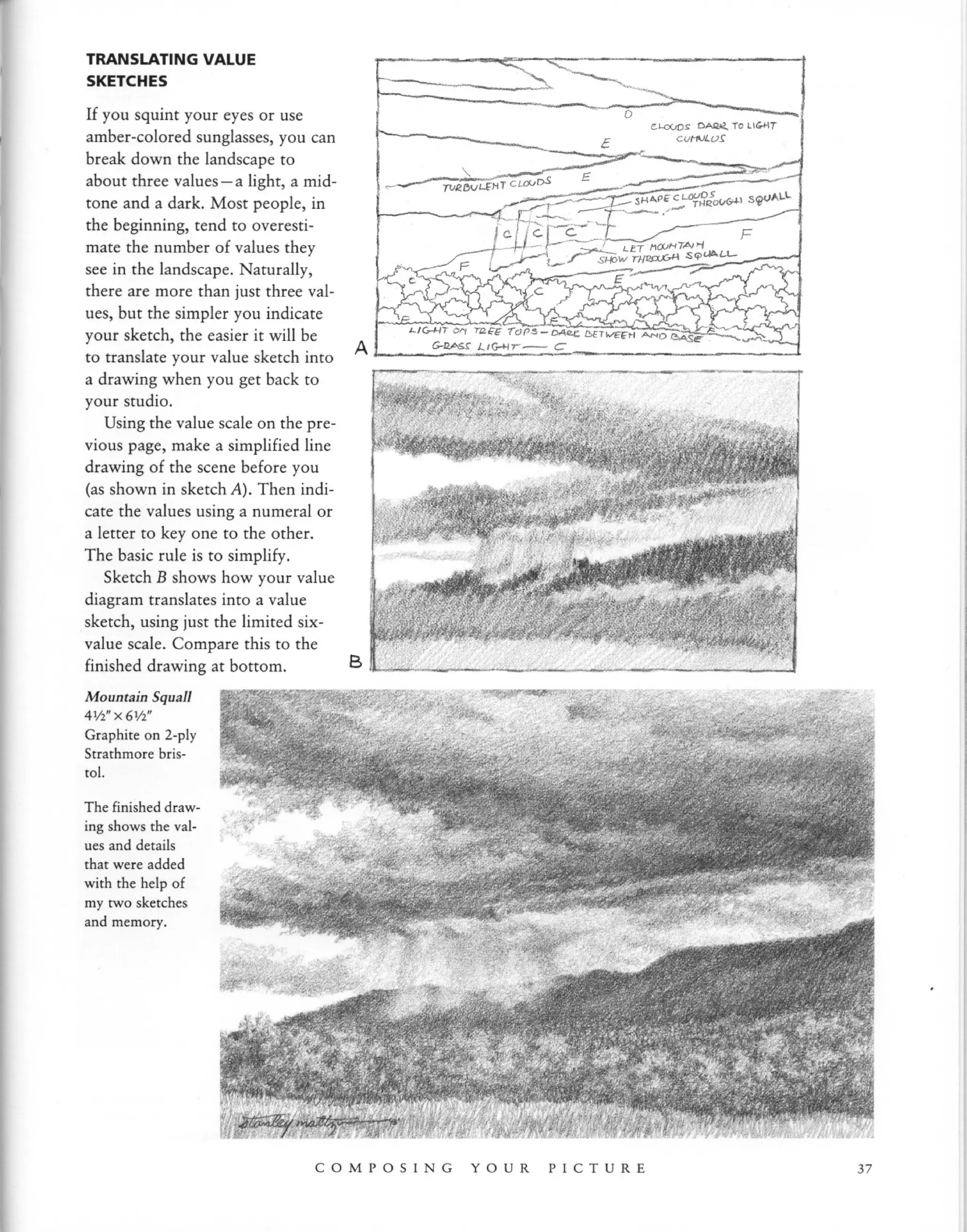 Drawing Nature | PDF