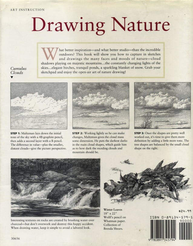 Drawing Nature | PDF