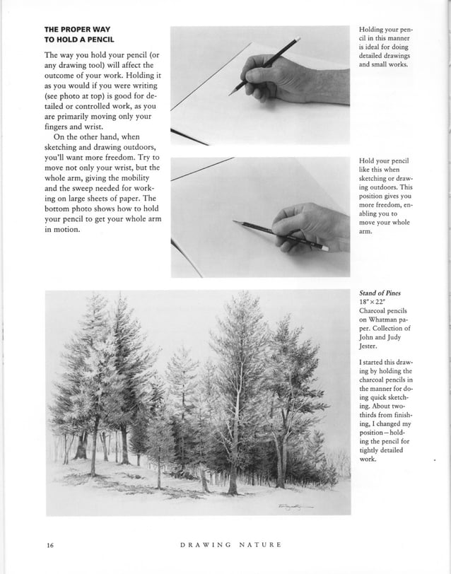 Drawing Nature | PDF