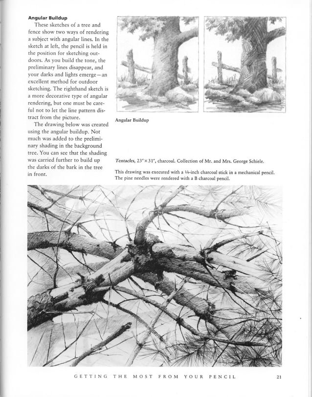 Drawing Nature | PDF