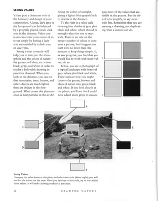 Drawing Nature | PDF