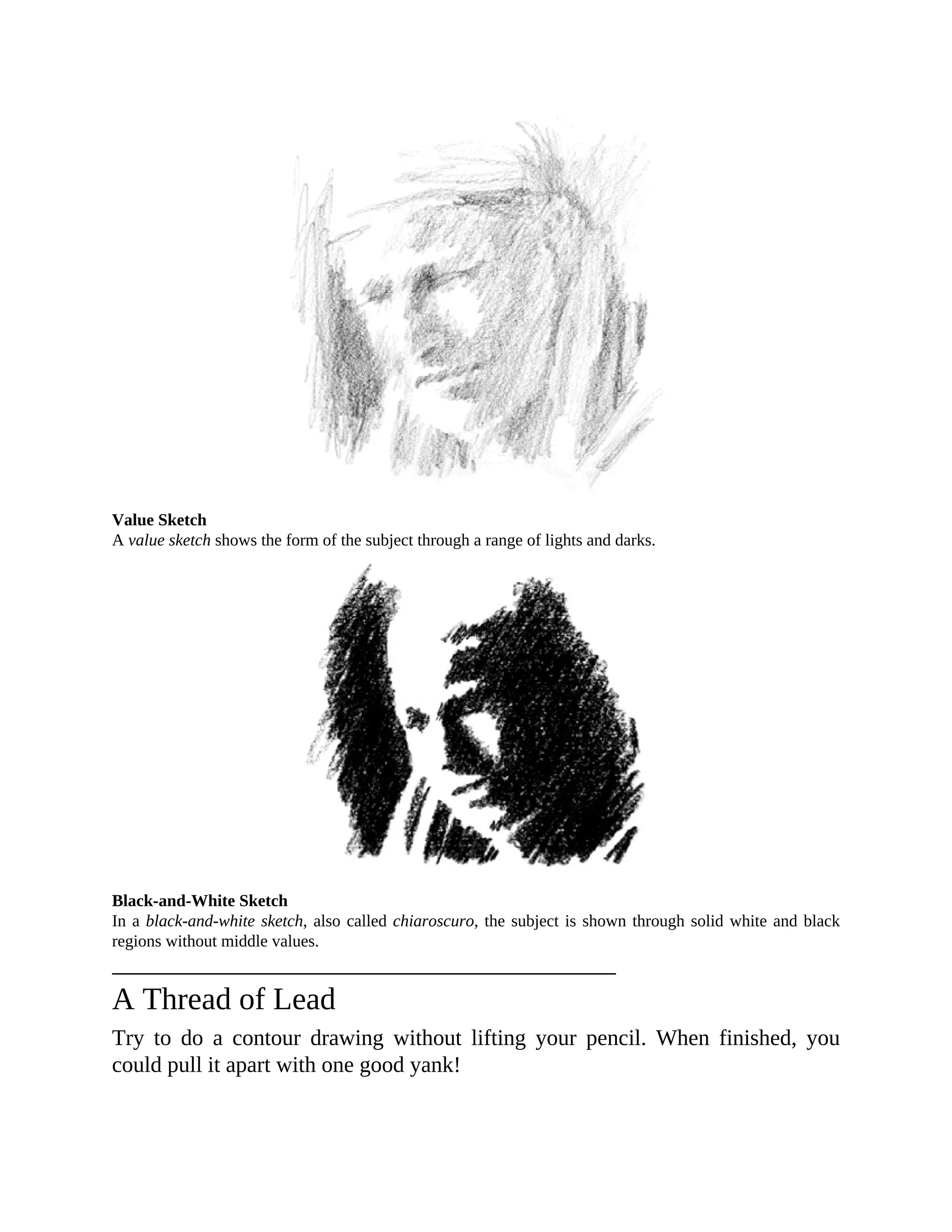 Drawing Portraits for the Absolute Beginner. A Clear and Easy Guide to ...