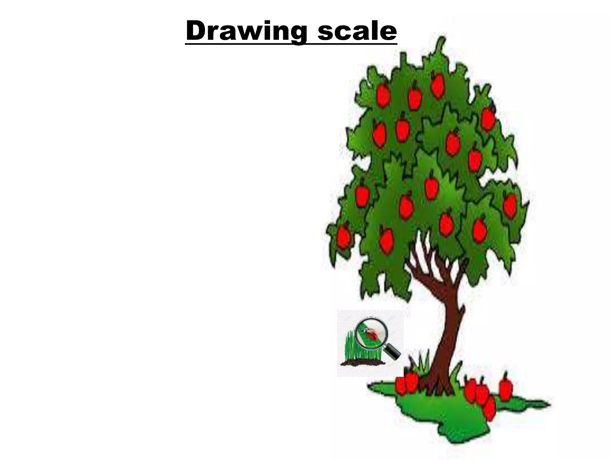 drawing scale.pptx