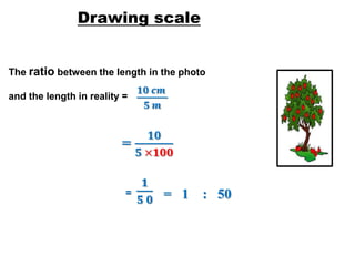 drawing scale.pptx