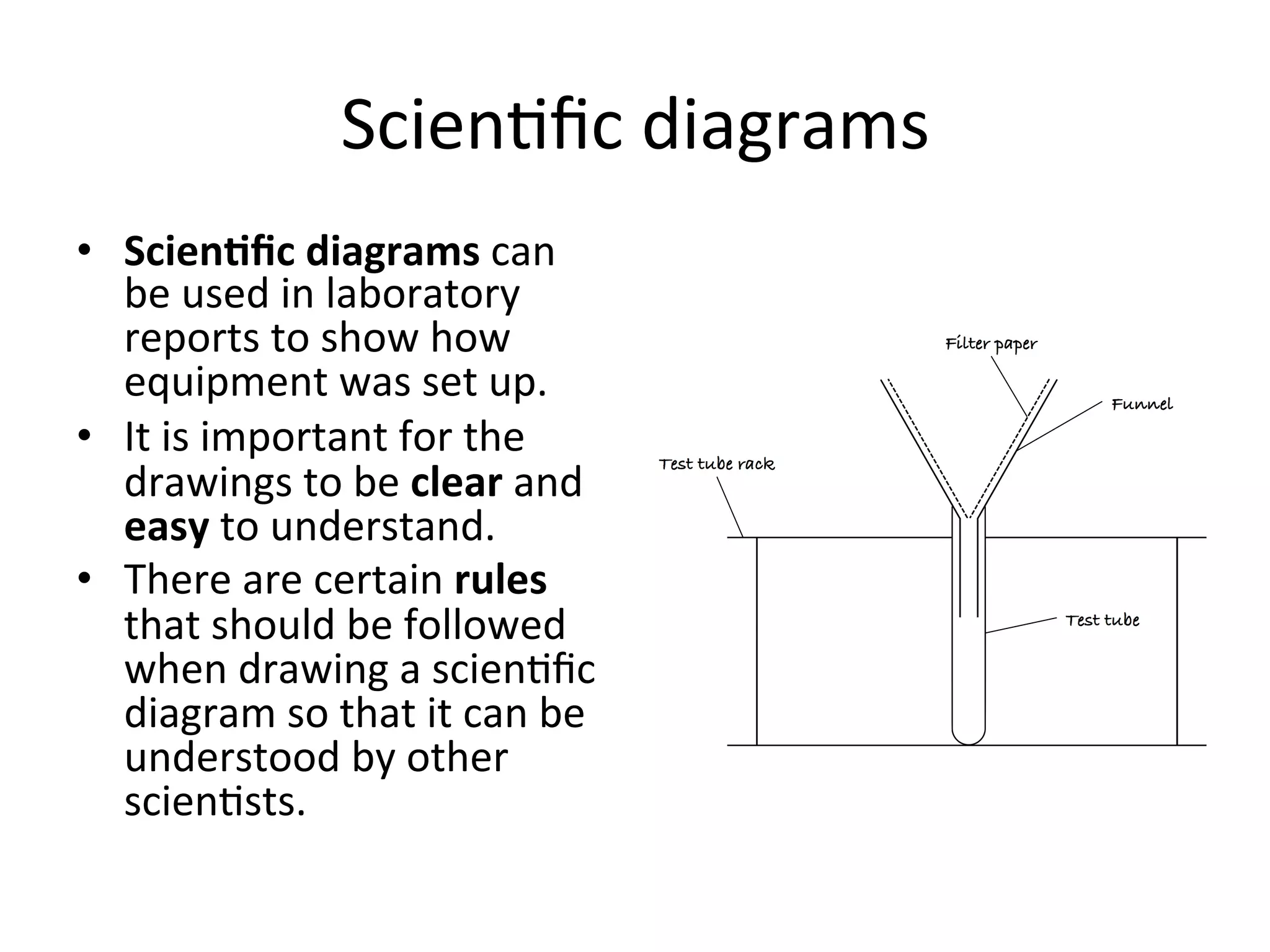 Drawing scientific diagram | PDF