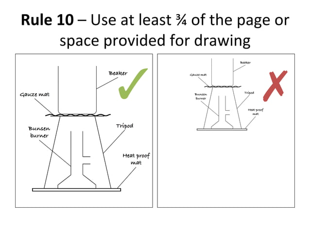 Drawing scientific diagram | PDF | Drawing and Sketching | Arts and Crafts