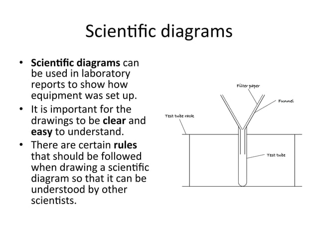 Drawing scientific diagram | PDF
