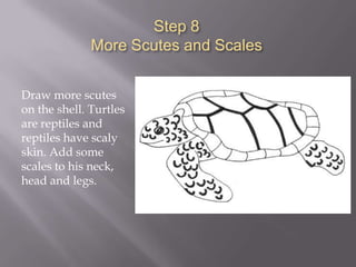 Drawing sea turtles | PPTX