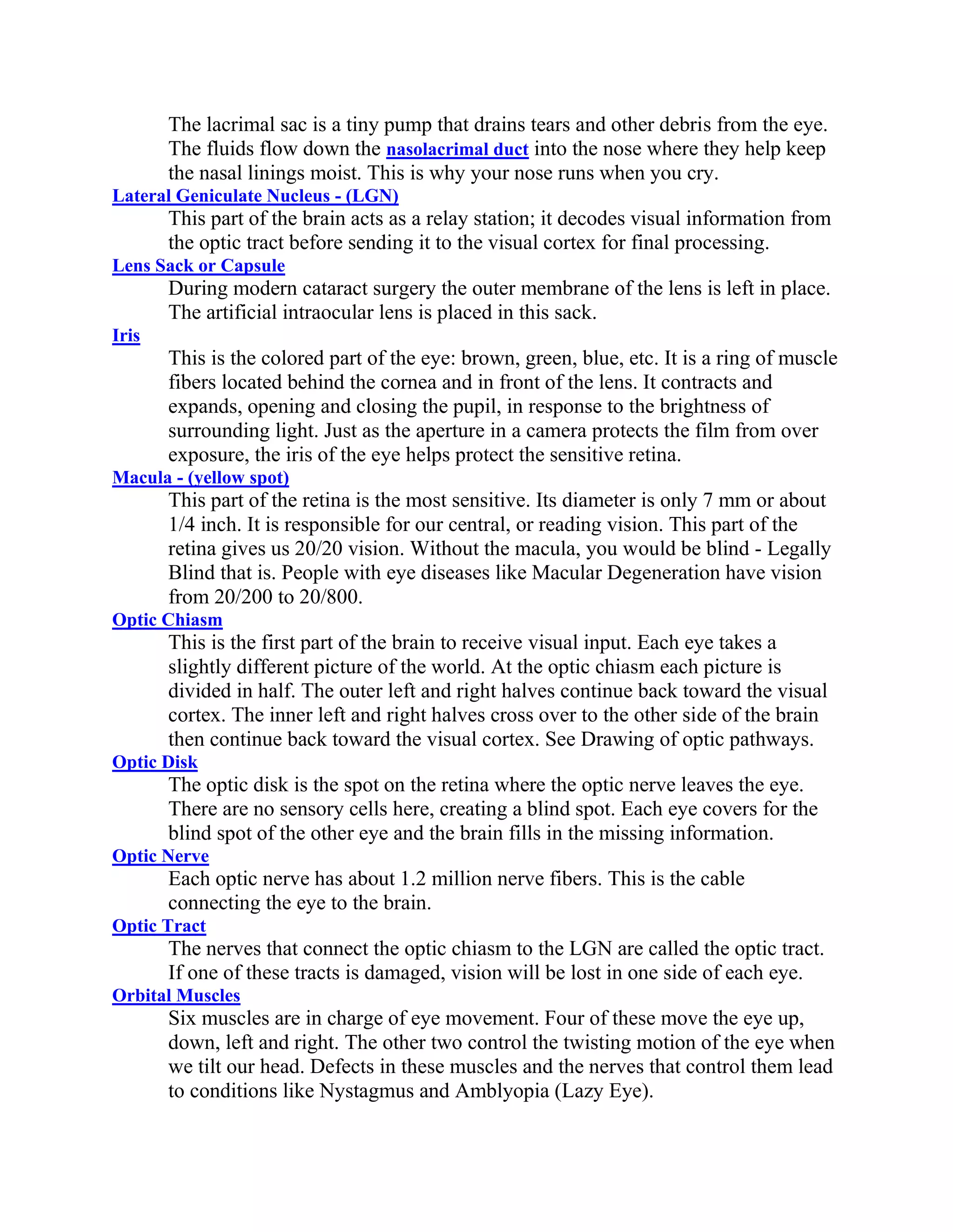 diagram of eye | DOCX