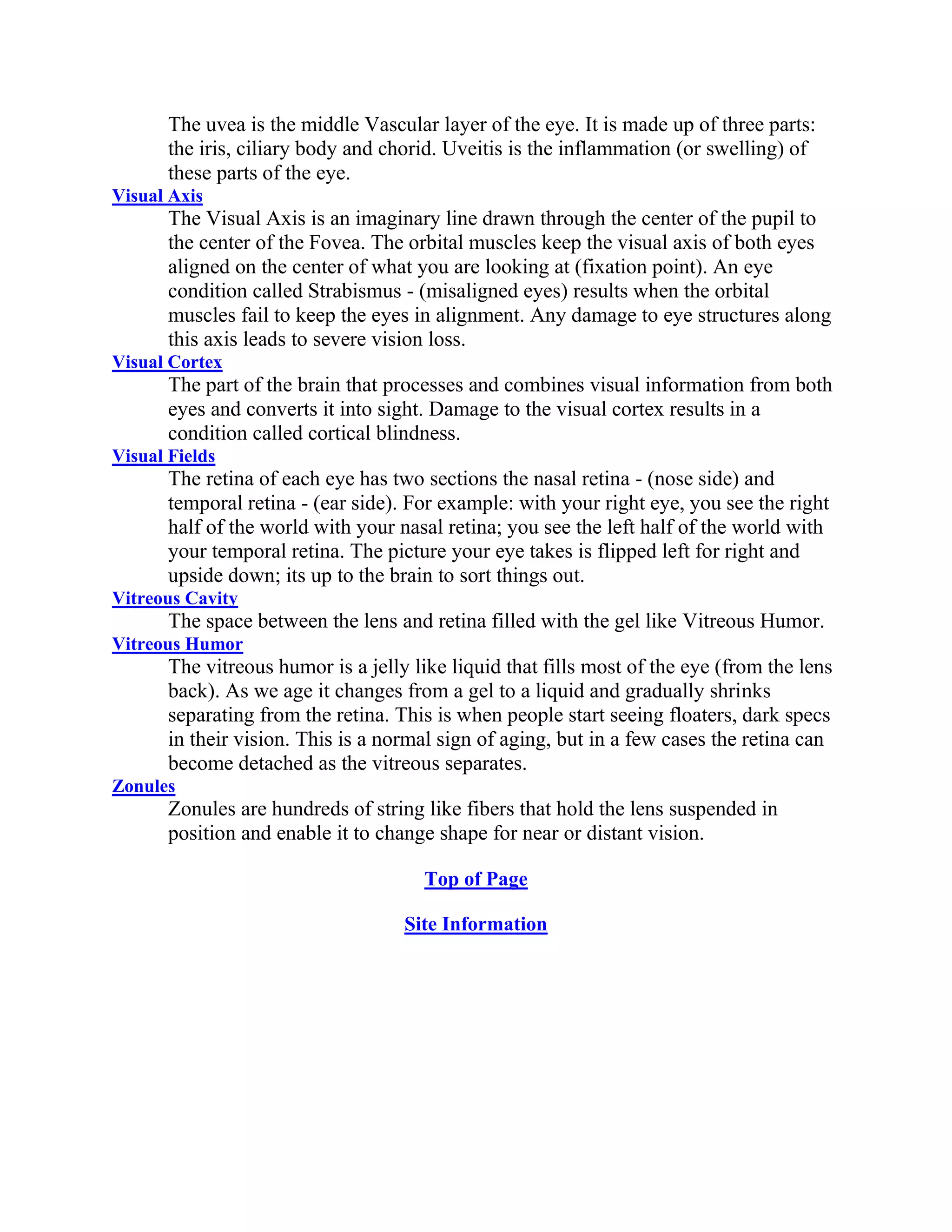 diagram of eye | DOCX