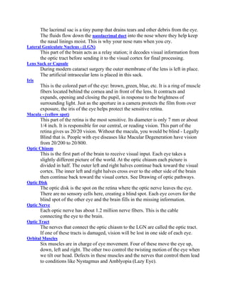 diagram of eye | DOCX