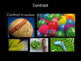 Drawing value and contrast | PPTX