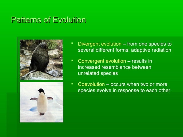Darwins theory of evolution | PPT