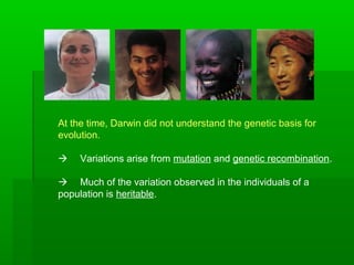 Darwins theory of evolution | PPT