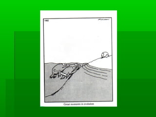 Darwins theory of evolution | PPT