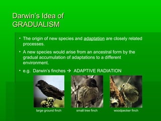 Darwins theory of evolution | PPT