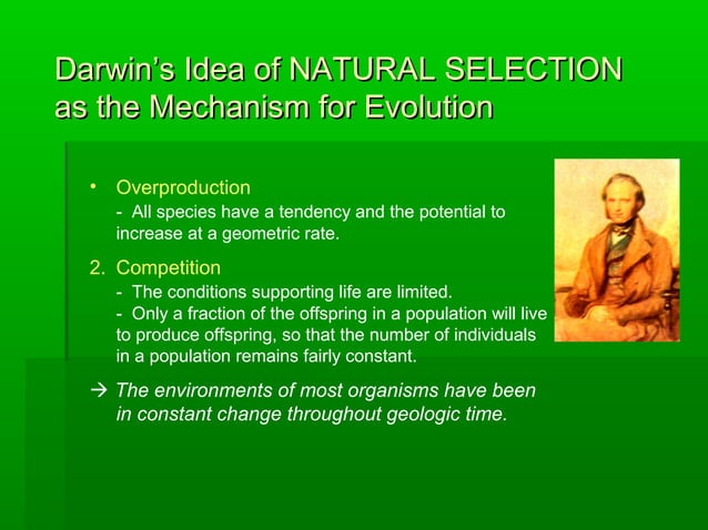 Darwins theory of evolution | PPT