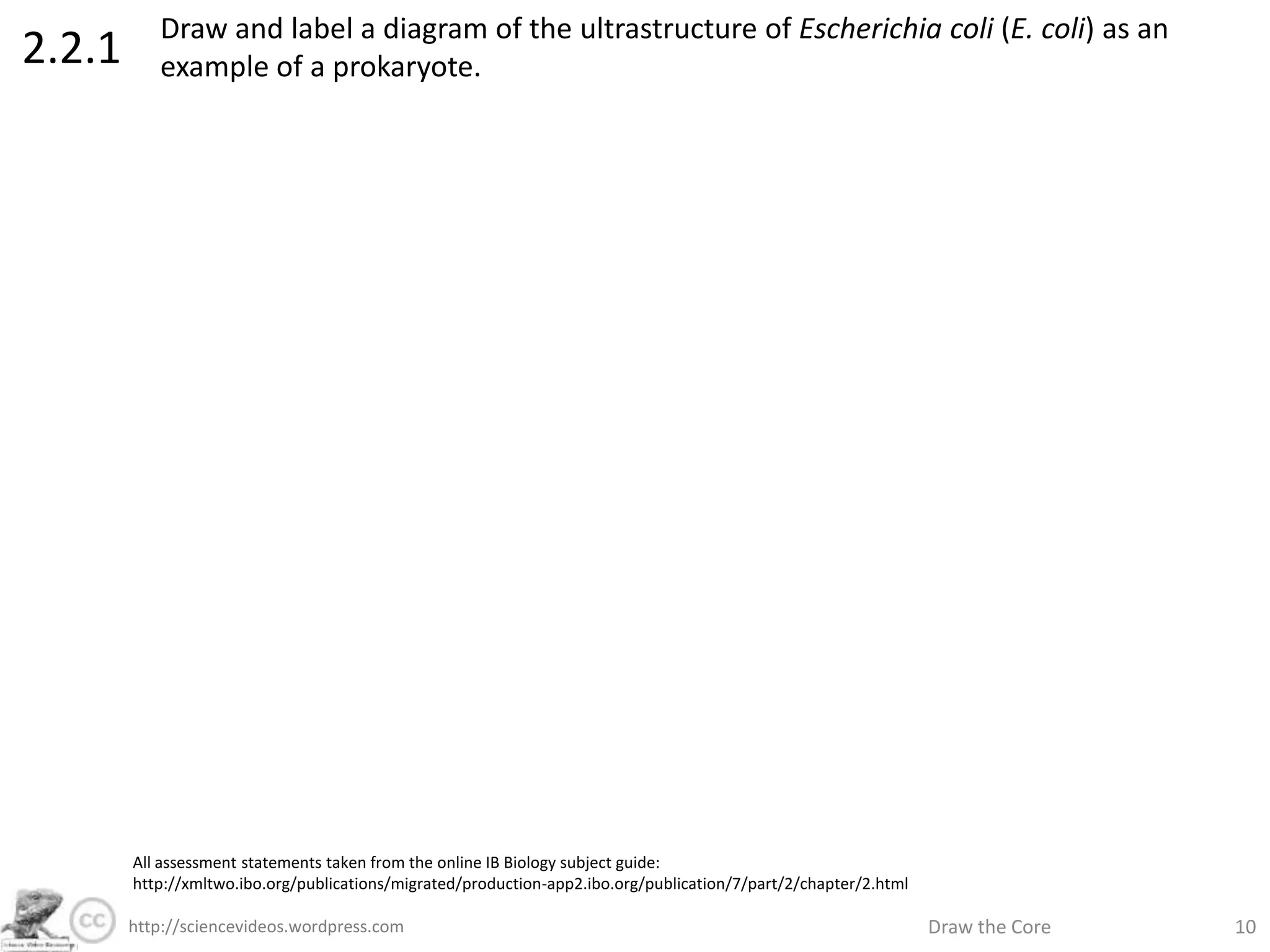 Draw The Core | PPTX