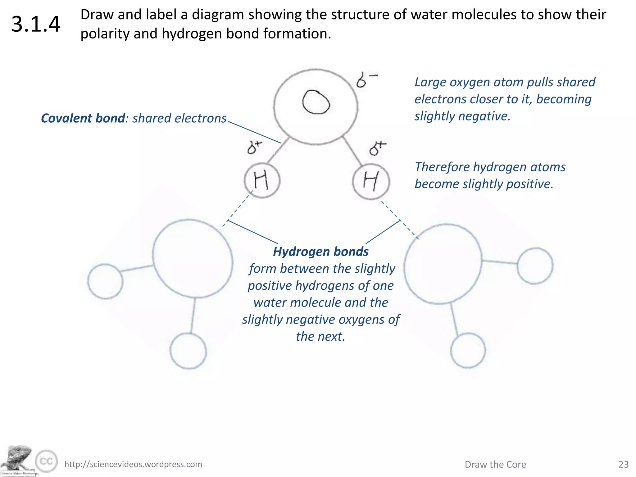 Draw The Core | PPTX