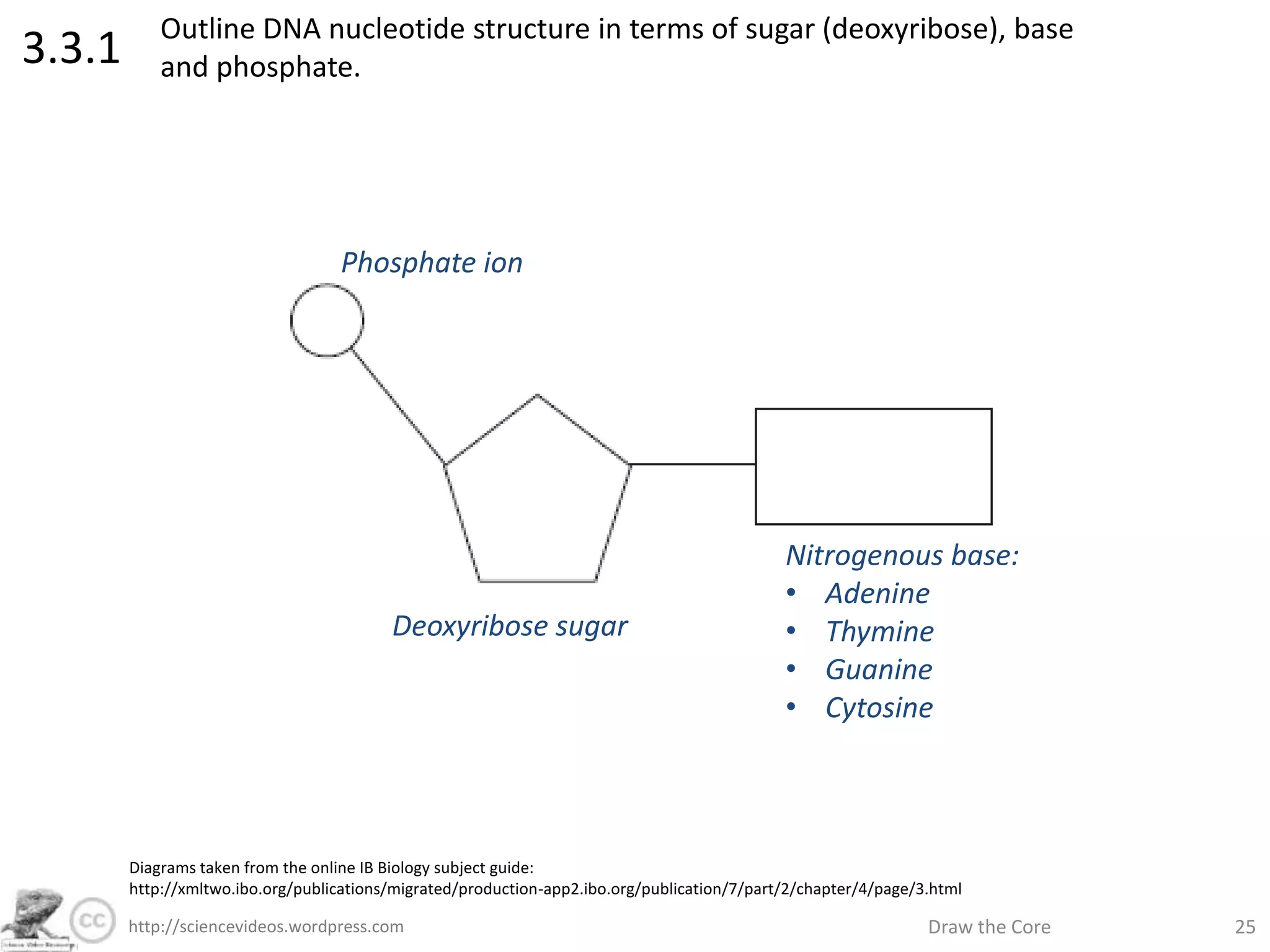 Draw The Core | PPTX