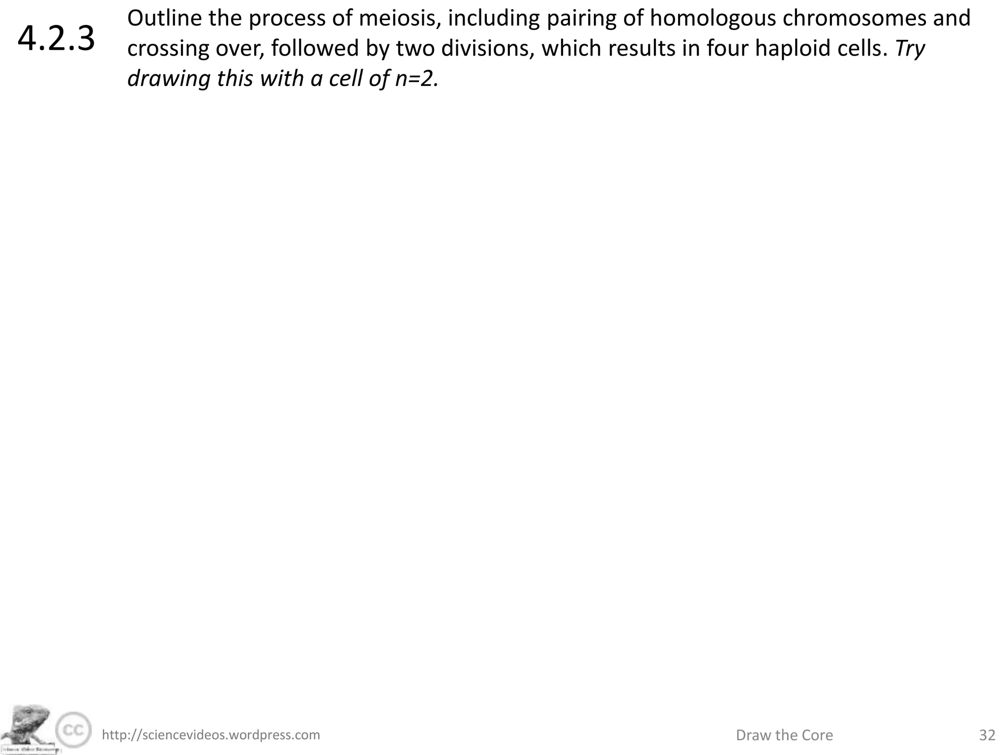 Draw The Core | PPTX | Chemistry | Science