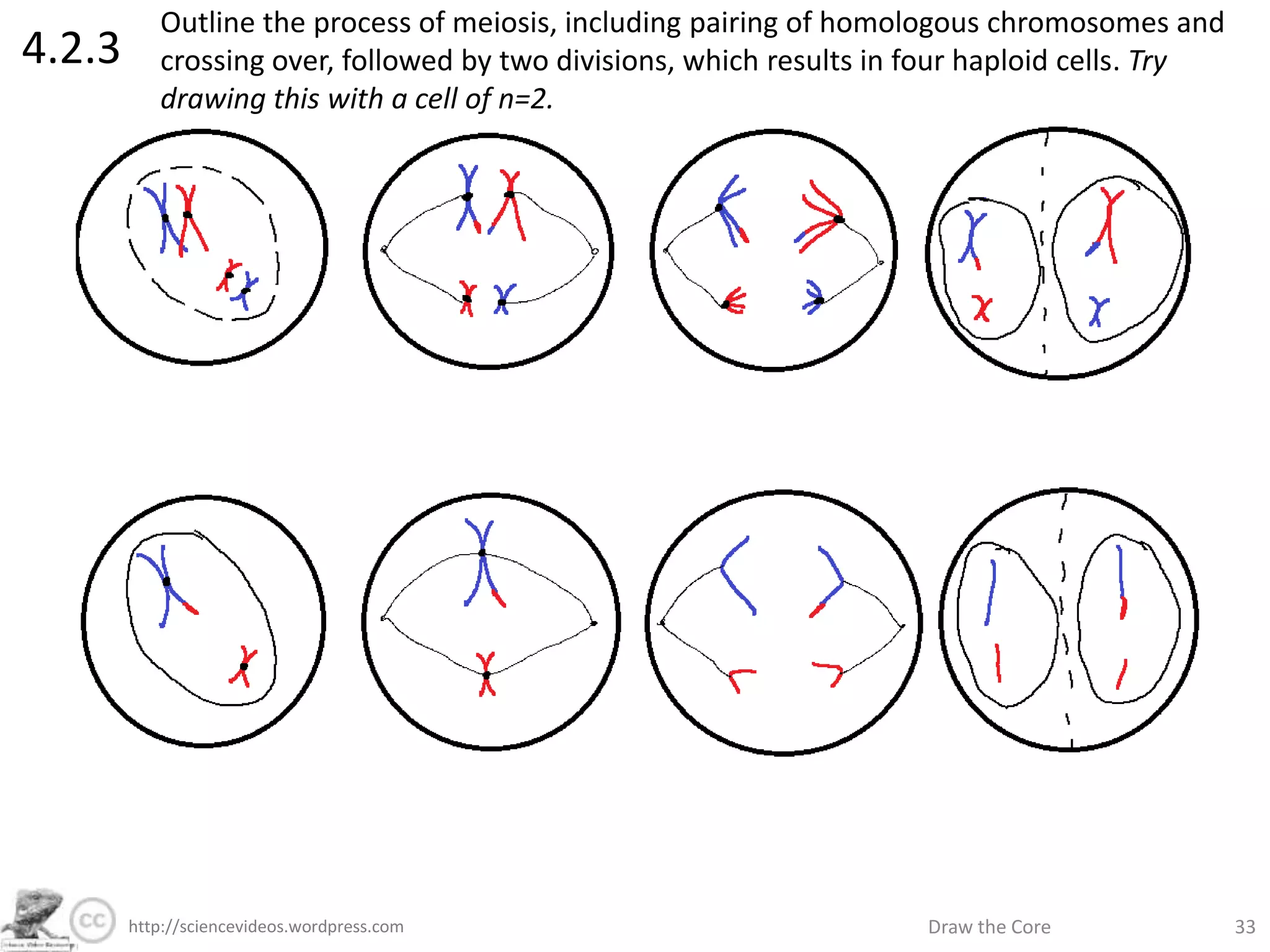 Draw The Core | PPTX | Chemistry | Science