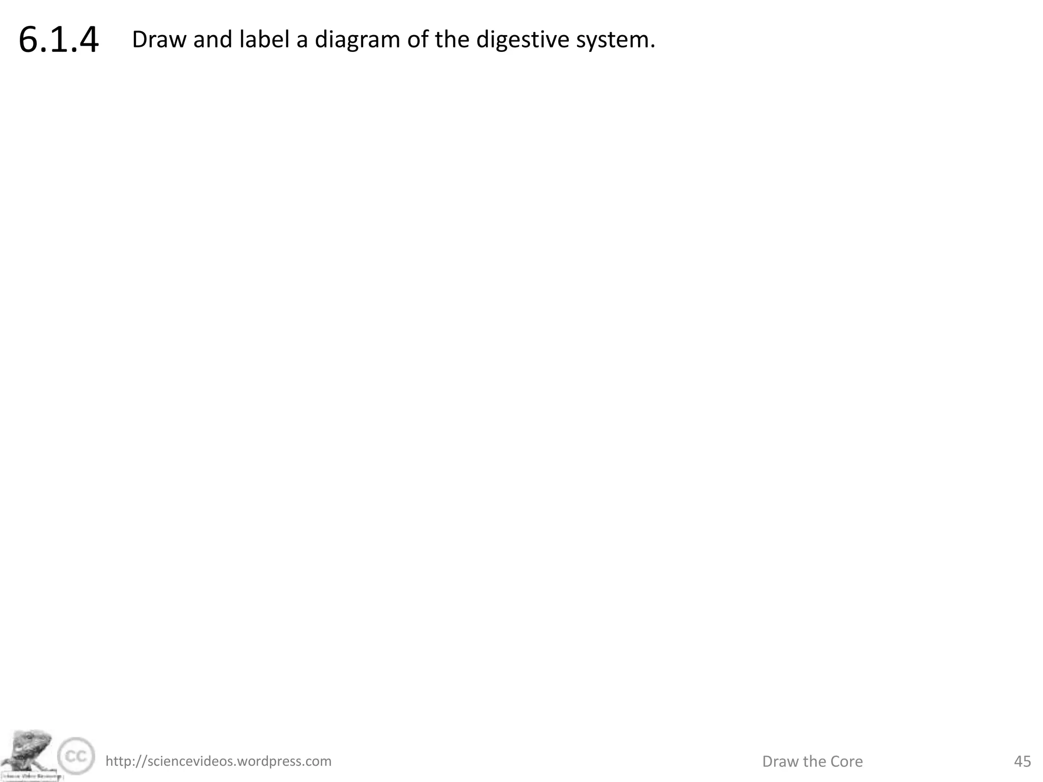 Draw The Core | PPTX | Chemistry | Science