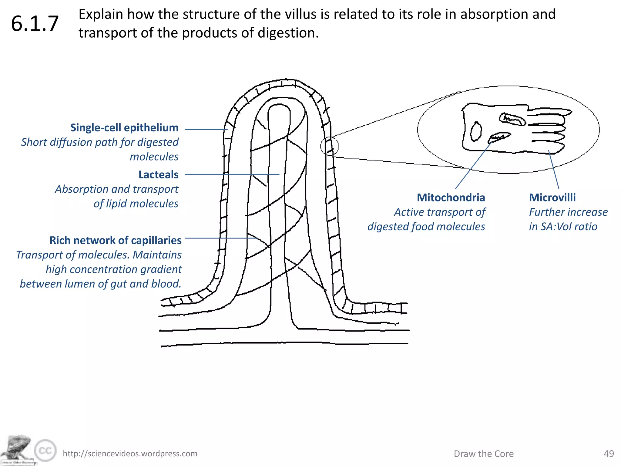 Draw The Core | PPTX | Chemistry | Science