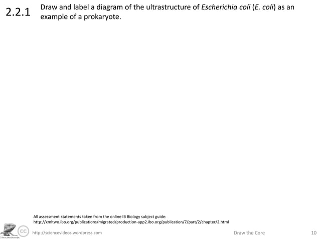 Draw The Core | PPTX | Chemistry | Science