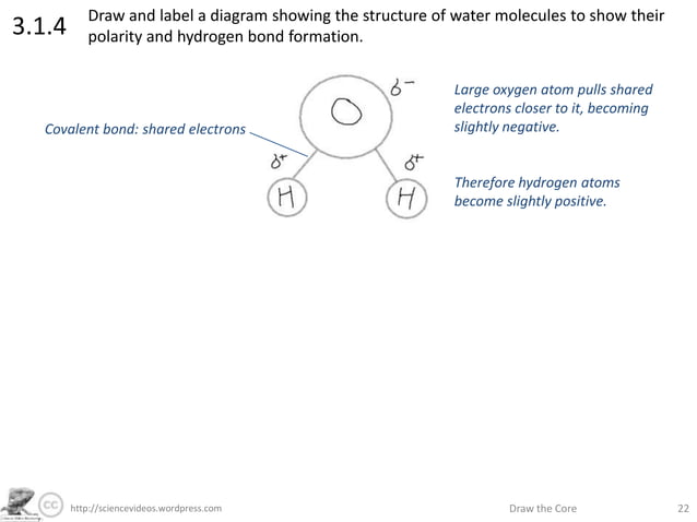 Draw The Core | PPTX | Chemistry | Science