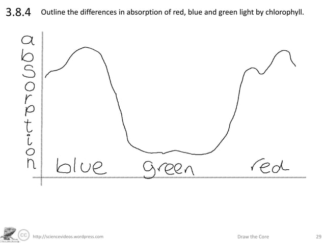 Draw The Core | PPTX | Chemistry | Science