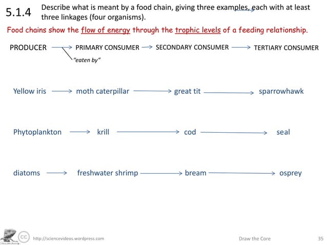 Draw The Core | PPTX | Chemistry | Science