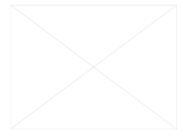 Draw your boss | PPT | Free Download