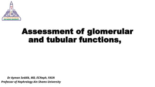 Dr Ayman Seddik -Assessment of glomerular and tubular functions tips ...