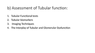 Dr Ayman Seddik -Assessment of glomerular and tubular functions tips ...