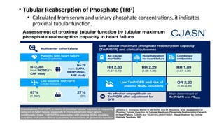 Dr Ayman Seddik -Assessment of glomerular and tubular functions tips ...