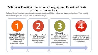 Dr Ayman Seddik -Assessment of glomerular and tubular functions tips ...