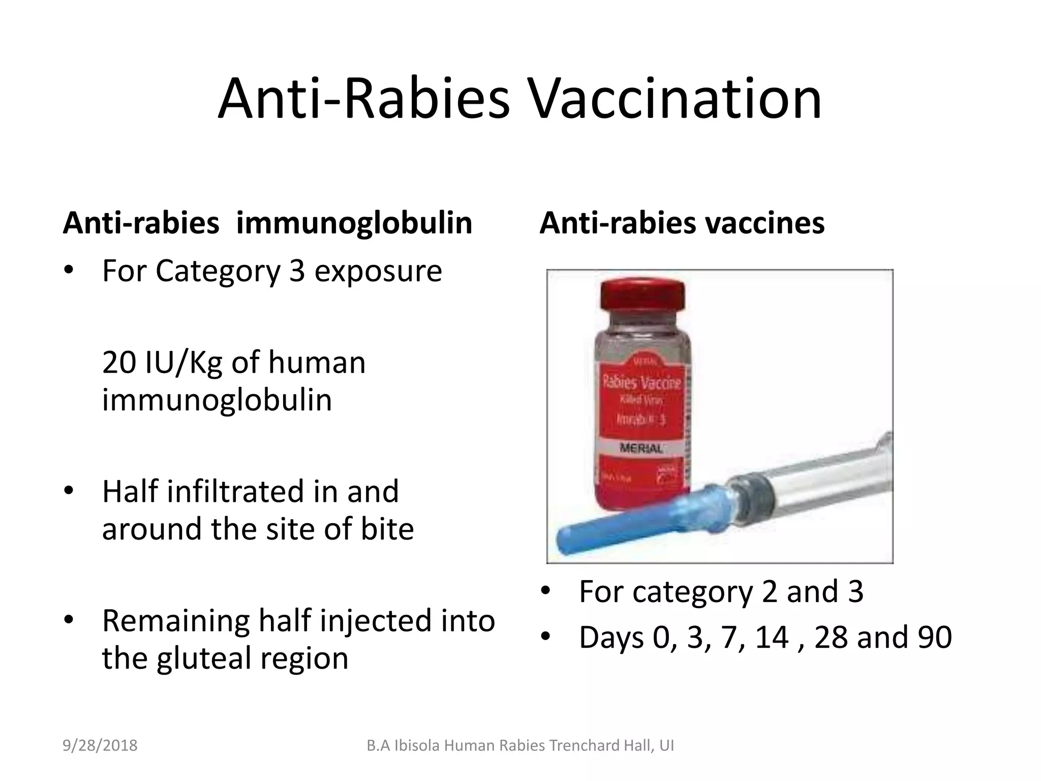 Human Rabies | PPTX