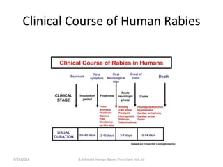 Human Rabies | PPTX