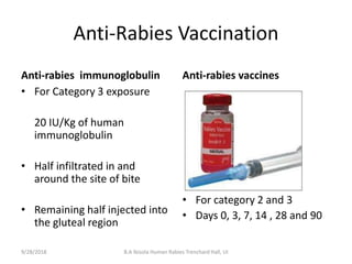 Human Rabies | PPTX